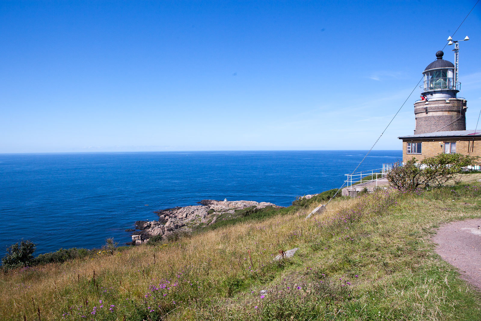 Und die meisten antworten „Nö“.