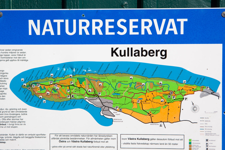 Schreibe einen Kommentar Antwort abbrechen